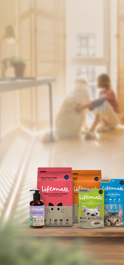 RS Group - Life Enriching