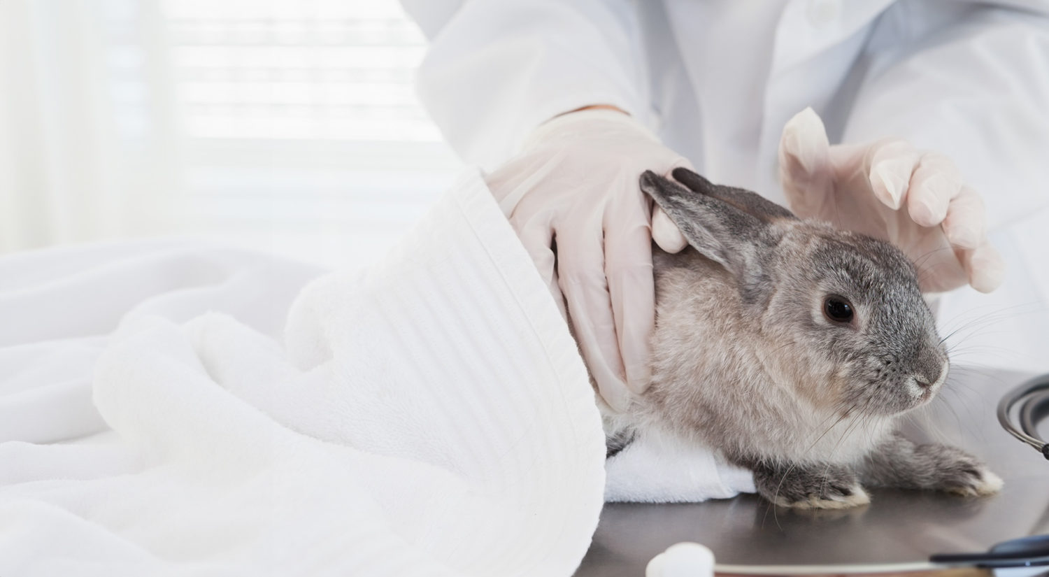 RS Group - Life Enriching