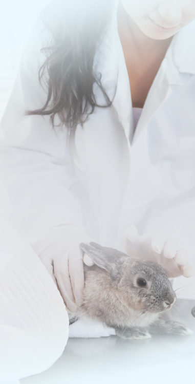 RS Group - Life Enriching