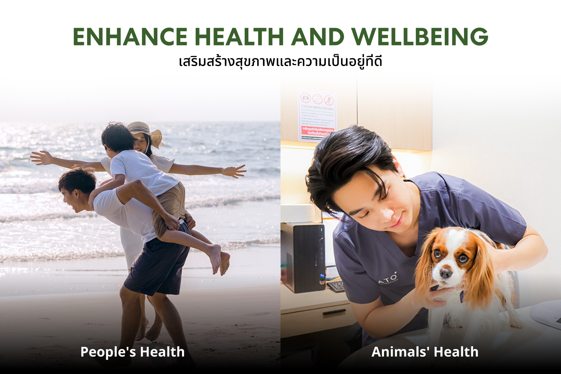 RS Group - Life Enriching